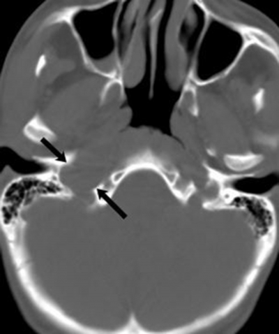 Internet Scientific Publications